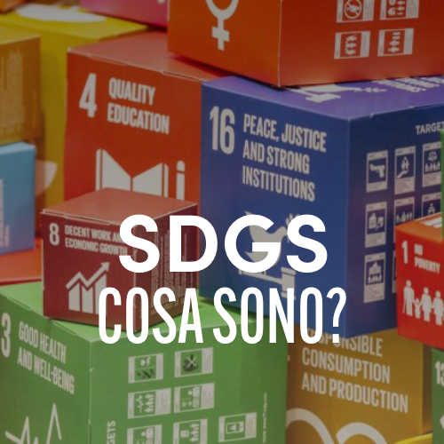 SDGs, cosa sono e come possiamo utilizzare gli obiettivi di ...